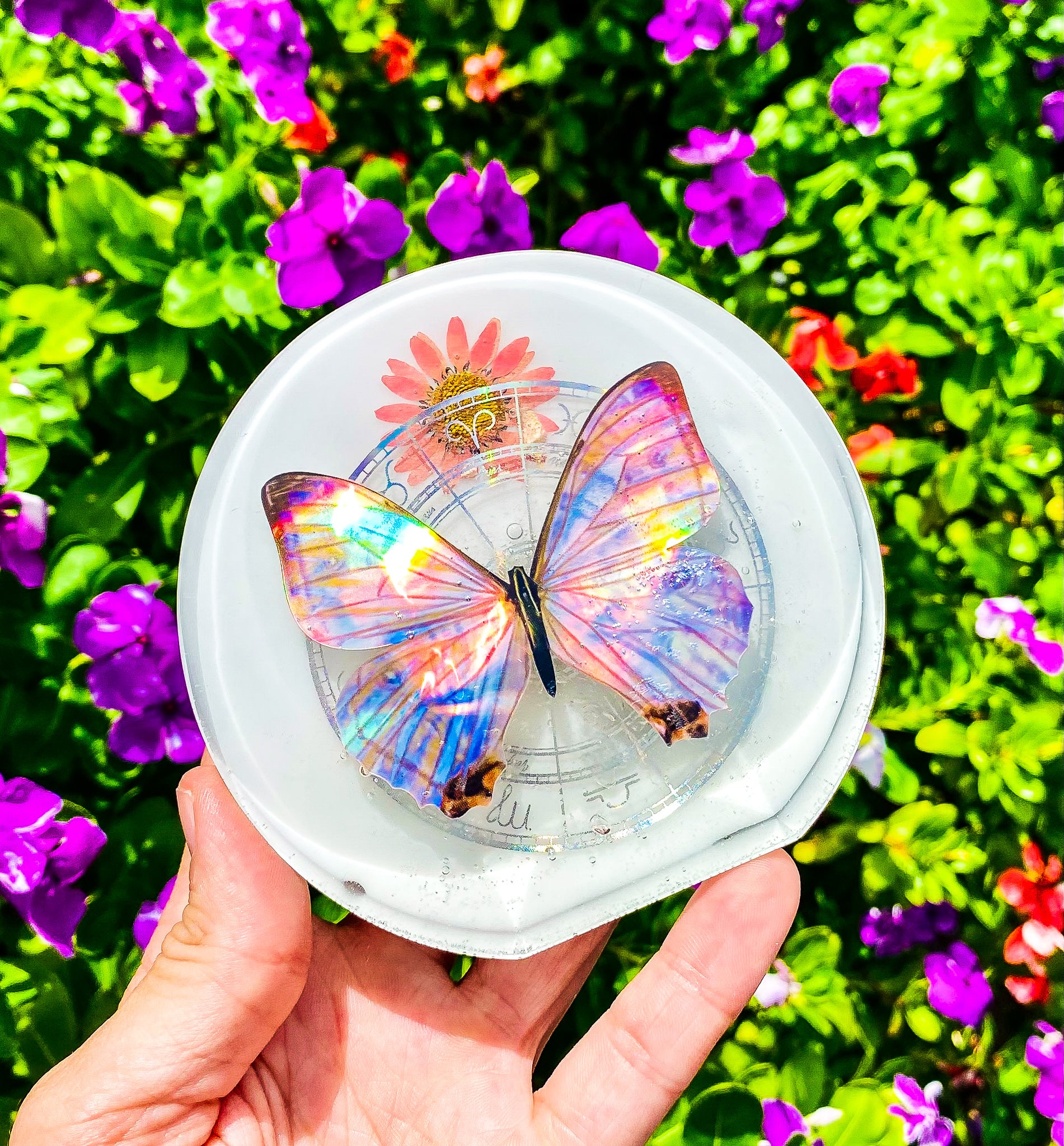 Celestial Pink Morpho Free Form – Heatherskiesss